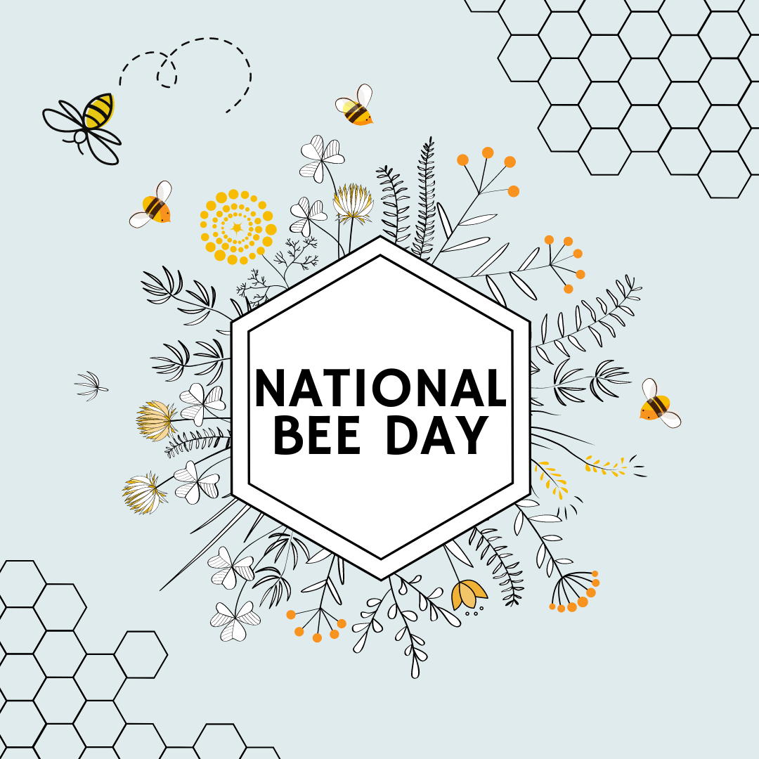 National Bee Day - 20th May – Chic Stories